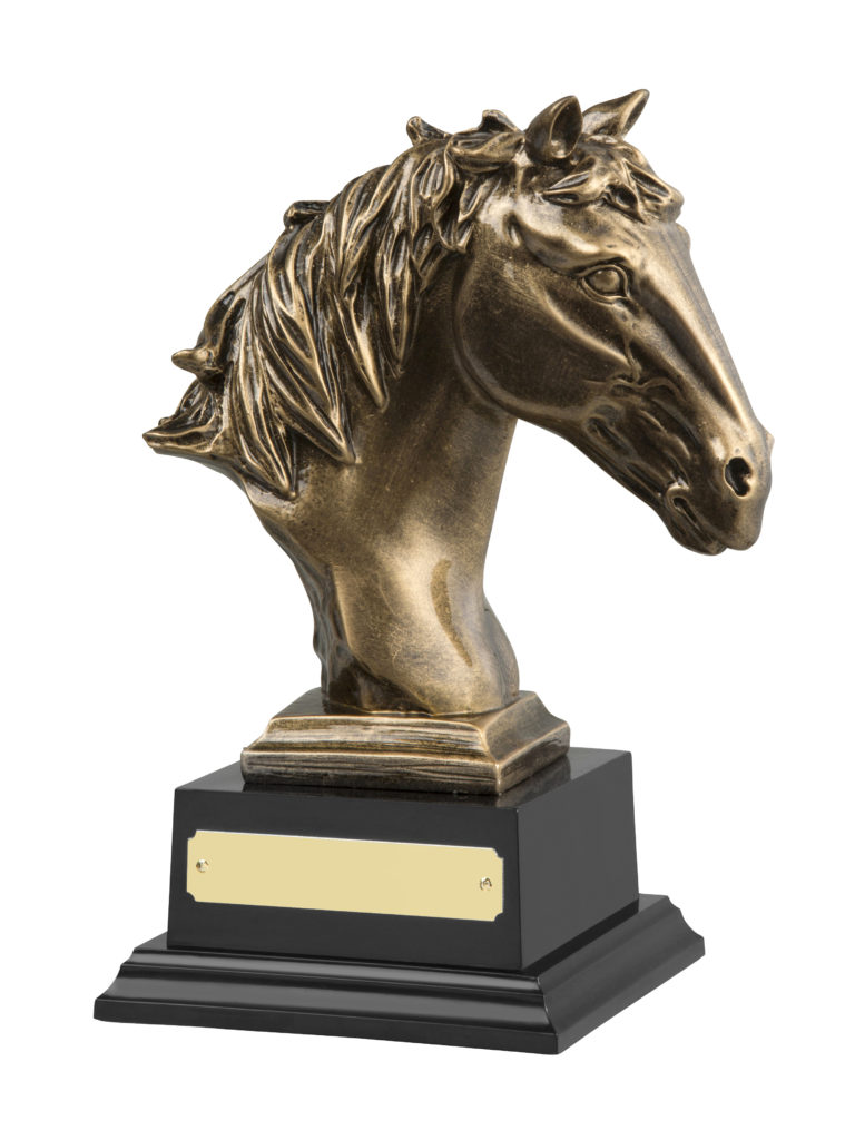 HORSE'S HEAD AWARDS - Castle Trophies for Sports Trophies Medals and ...